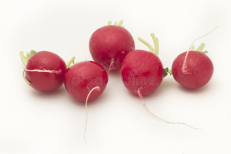 Roter Rettich stockbild. Bild von nähren, frische, saisonal - 51983039