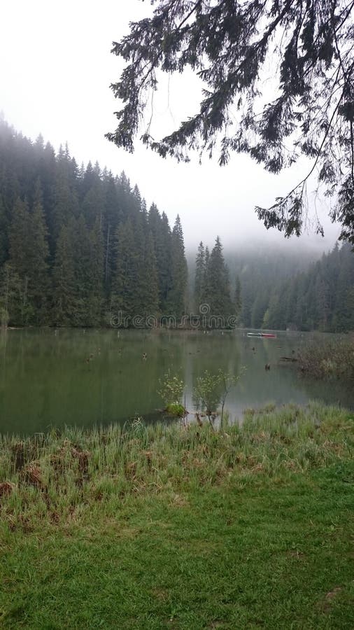 Roter See stockfoto. Bild von rumänien, ansicht, wald - 94309512