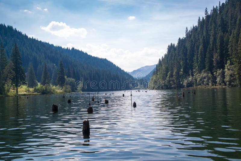 Roter See - Lacul Rosu stockbild. Bild von entspannend - 59559125