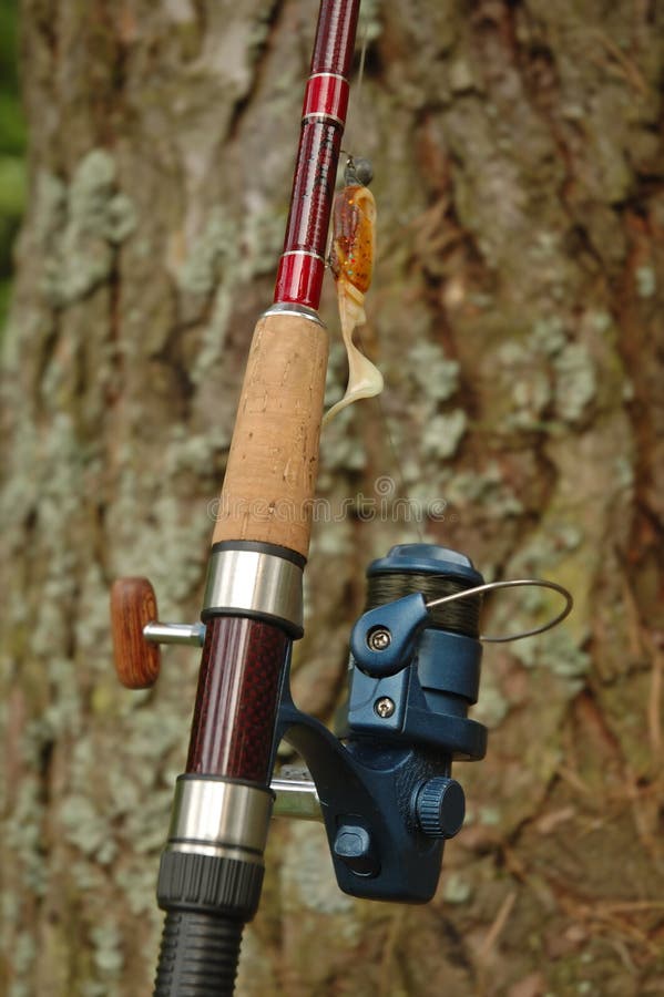 Rotering arkivfoto. Bild av fisk, delningar, perk, utrustning - 6021134