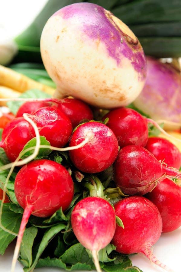 Rotfrukter arkivfoto. Bild av lök, vitlök, läcker, grönsak - 14536984