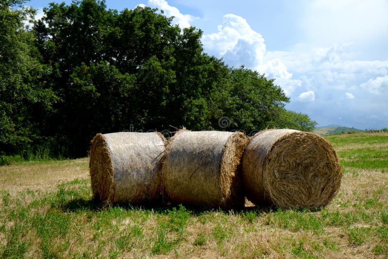 Rotoballe stock image. Image of field, corn, harvest - 41155421