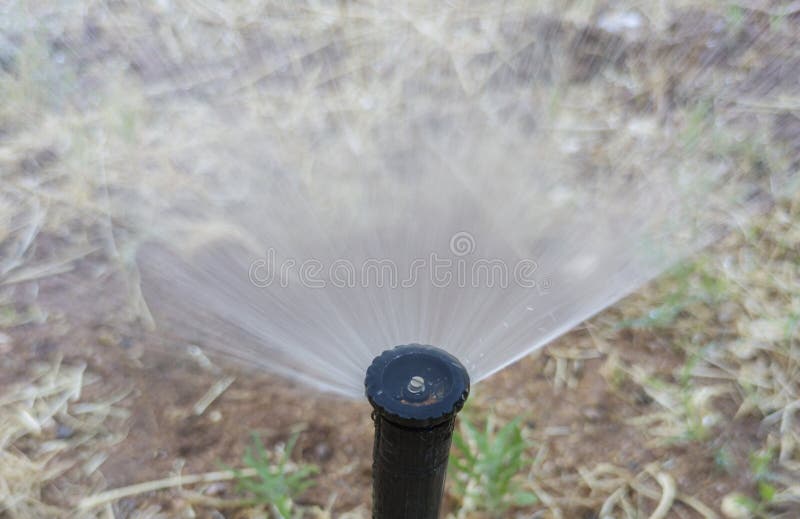 Rotor Sprinkler in action stock photo. Image of sunny - 328016636