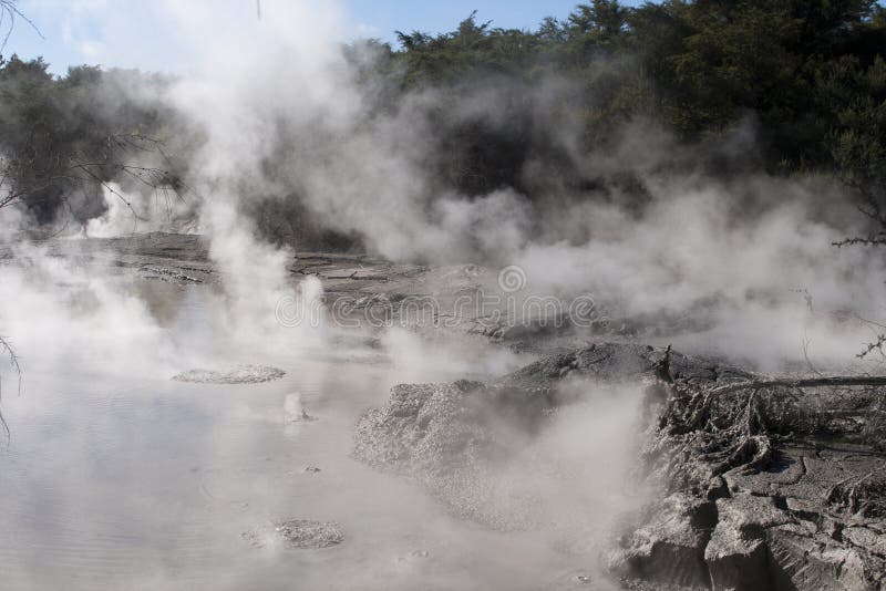 Rotorua stock photo. Image of bubble, nature, boiling - 25391048