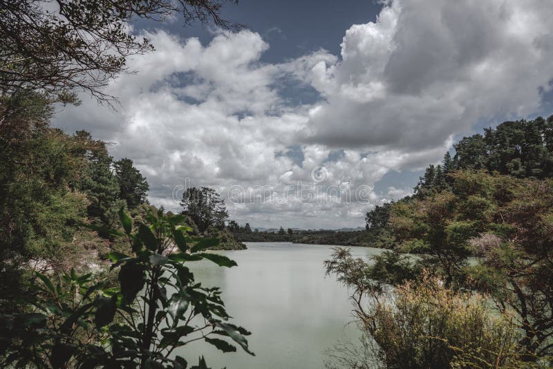 Rotorua Lake View from the Forest Stock Image - Image of tree ...