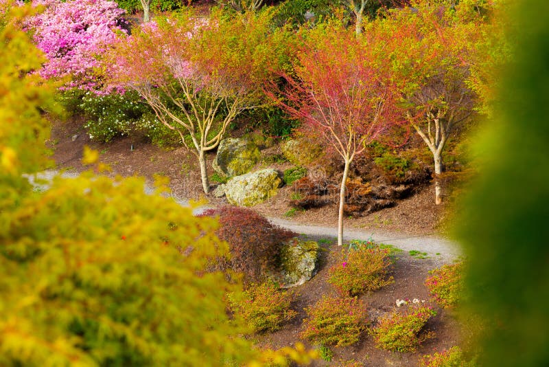 Rotorua Tree Trust stock photo. Image of time, springtime - 127280038