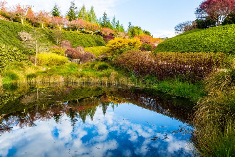 Rotorua Tree Trust stock photo. Image of time, springtime - 127280038