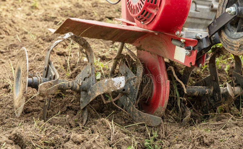 Rototiller in the garden stock photo. Image of field - 147575382