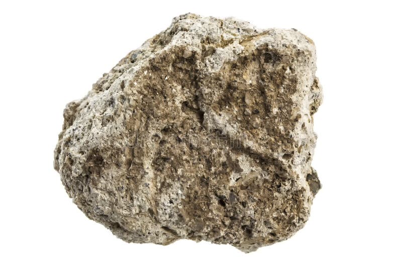 Rots Op Een Witte Achtergrond Stock Afbeelding - Image of naturalness ...