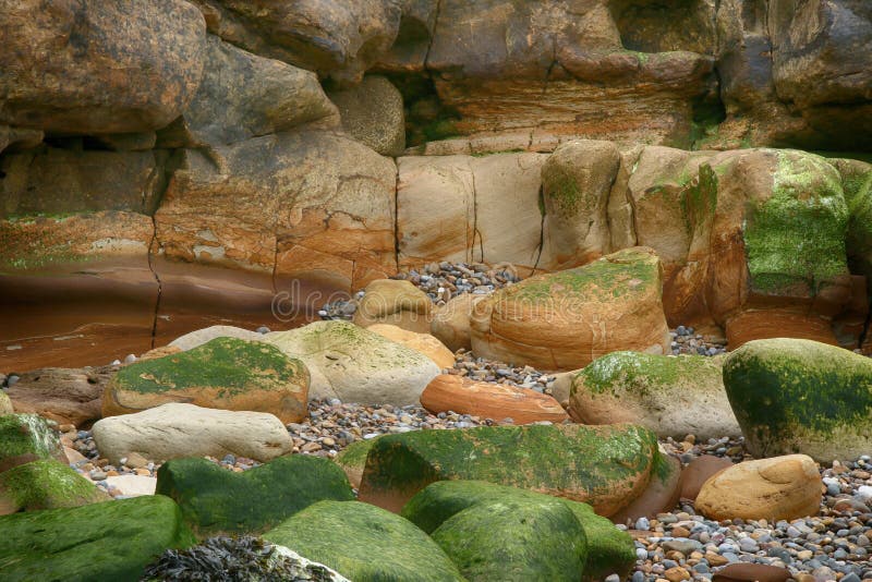 Stenen En Rotsen in De Bergbeek in Het Bos in De Reusachtige Bergen ...