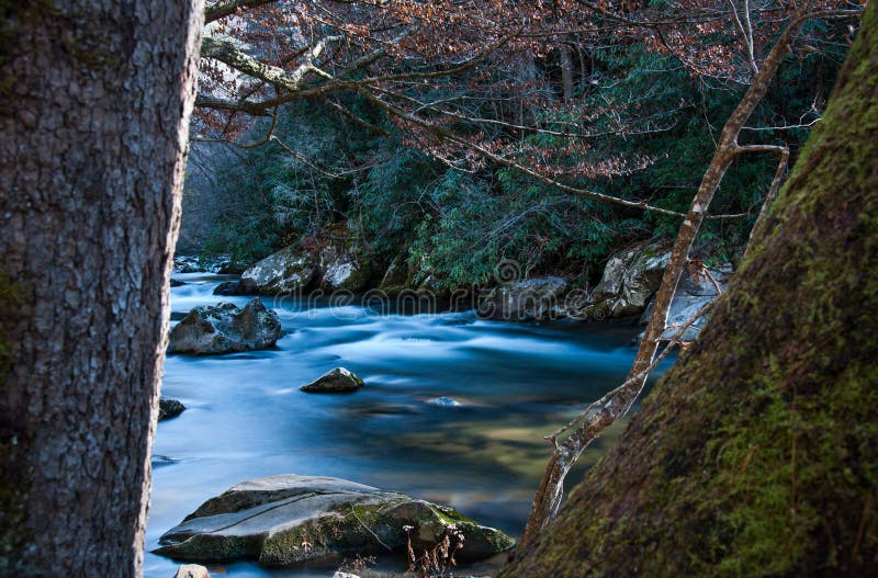 Zachtstromende Rivier Met Rotsen Stock Afbeelding - Image of takken ...
