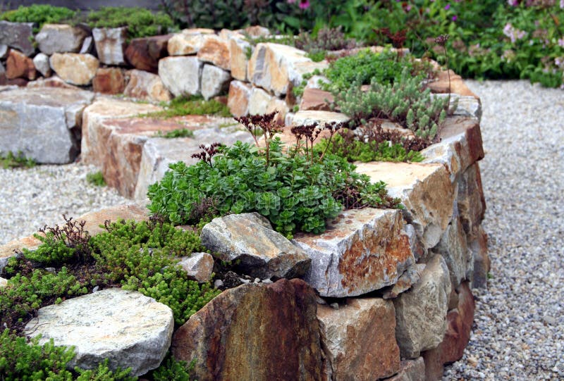 Rotstuin stock foto. Image of rotsachtig, kruiden, eeuwen - 18521796