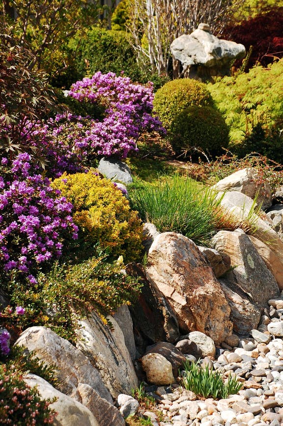 Rotstuin in de lente stock foto. Image of installaties - 9377028