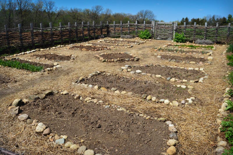 Rotstuinen stock afbeelding. Image of vierkant, kruid - 53843371