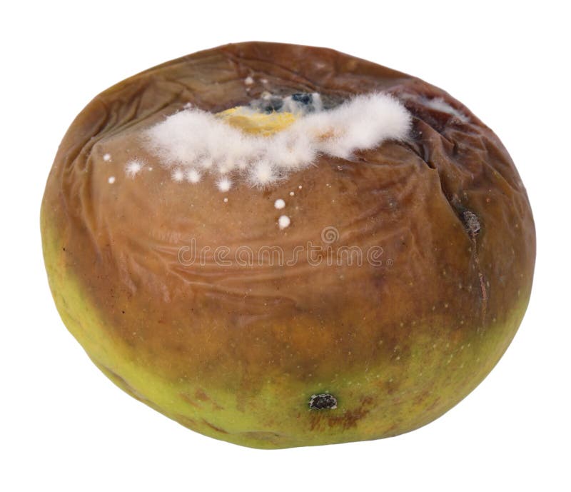 Rotte Appel Met Mal Op Een Witte Achtergrond Stock Afbeelding ...