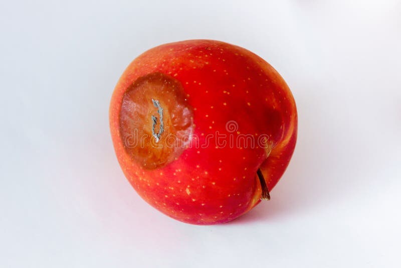 Beschimmelde Die Appel Op Wit Wordt Geïsoleerd Stock Afbeelding ...