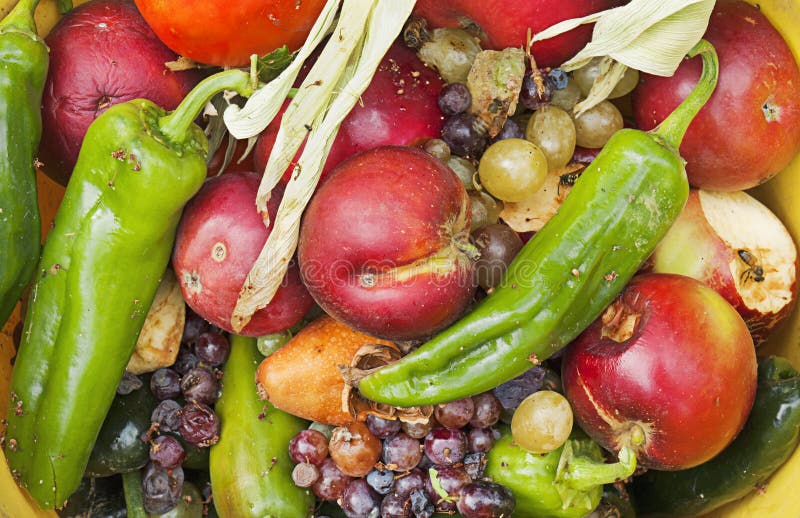 Rotte Fruit En Groenten in Een Kom Stock Afbeelding - Image of ...