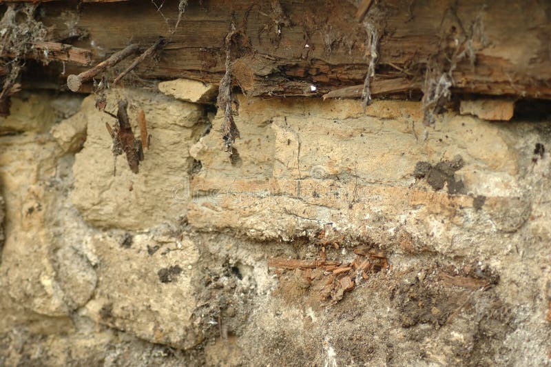 Rotted Sill stock photo. Image of rotted, sill, home, dryrot - 281552