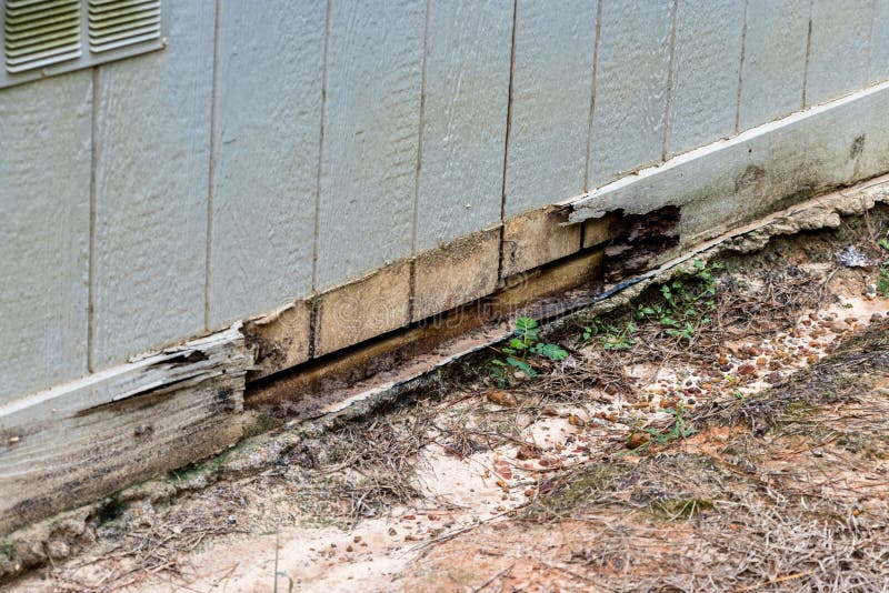 Rotted trim board damaged stock photo. Image of trim - 229881168