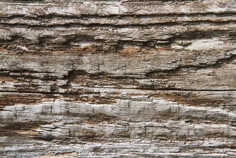 Rotted wood stock image. Image of textured, plank, weathered - 28598977