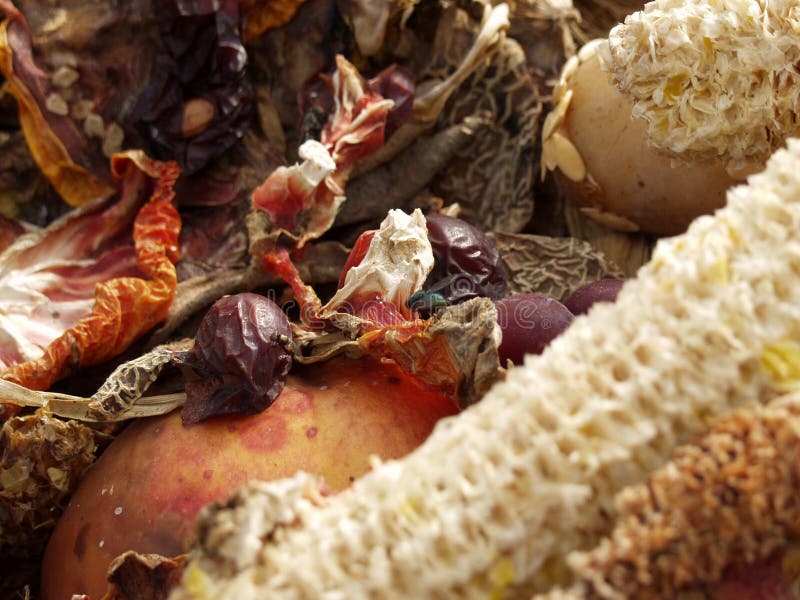 Rotten stock image. Image of nature, chte, verrottet, vegatables - 1114251