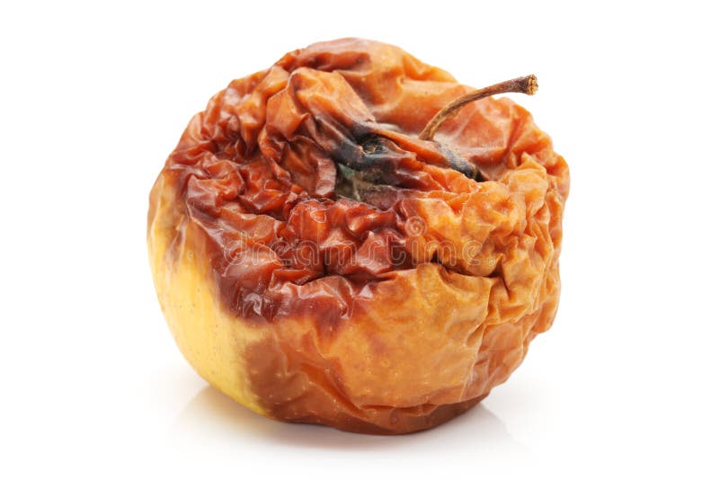 Rotten apple stock photo. Image of wilted, condition - 28494718