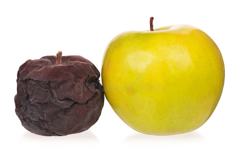 Rotten apple stock image. Image of food, kitchen, calorie - 29316031