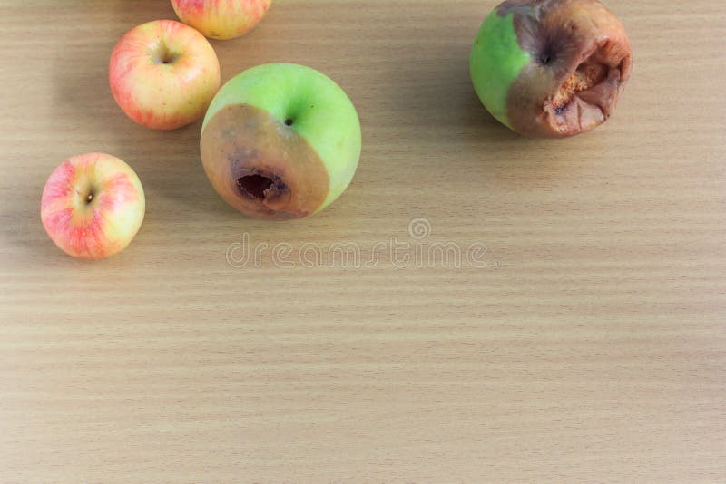 Fresh and rotten apple stock image. Image of rotten, uneatable - 45963873