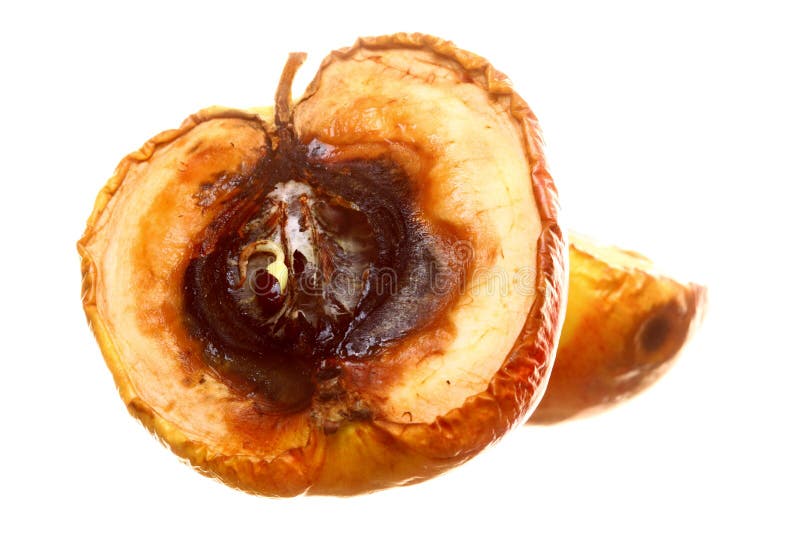 Half Rotten Apple Stock Photos - Download 215 Royalty Free Photos