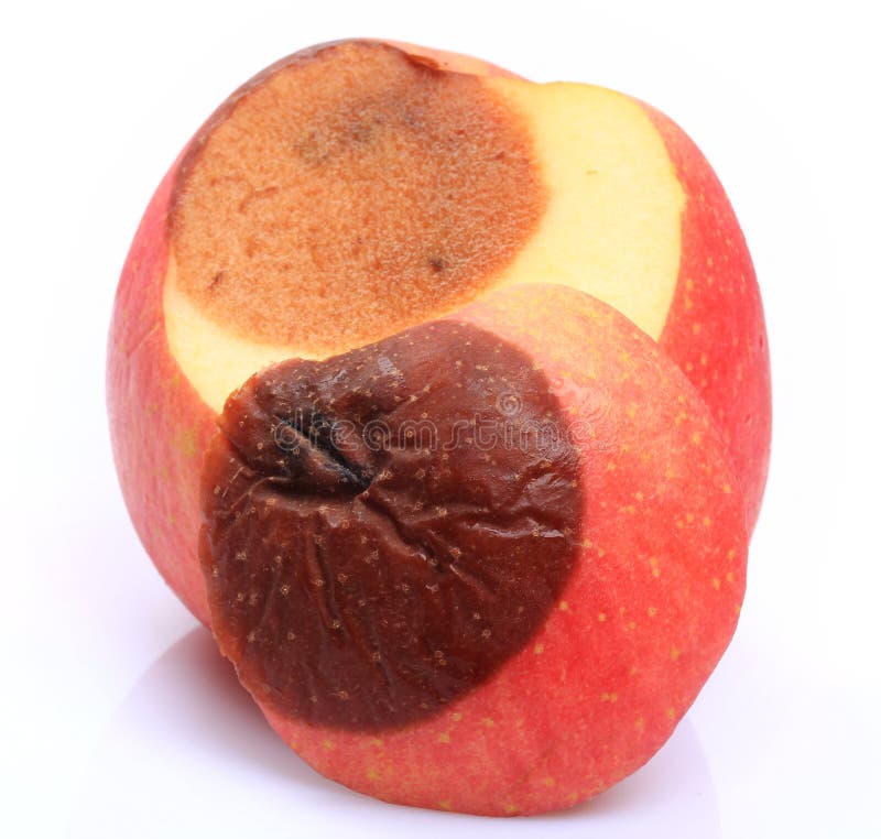 Half Rotten Apple Stock Photos - Download 215 Royalty Free Photos