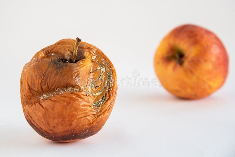 Molded Apple. Mold Fruit. Mold Apple. Bad Fruit. Bad Apple Stock Photo ...
