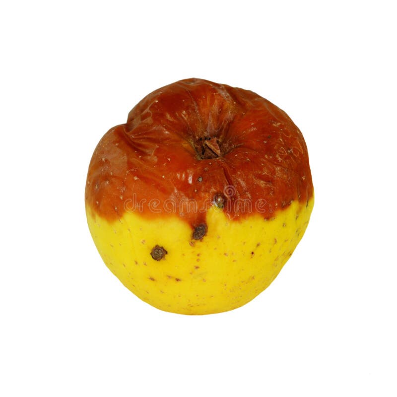 Rotten apple stock image. Image of cuisine, health, fruit - 83511929