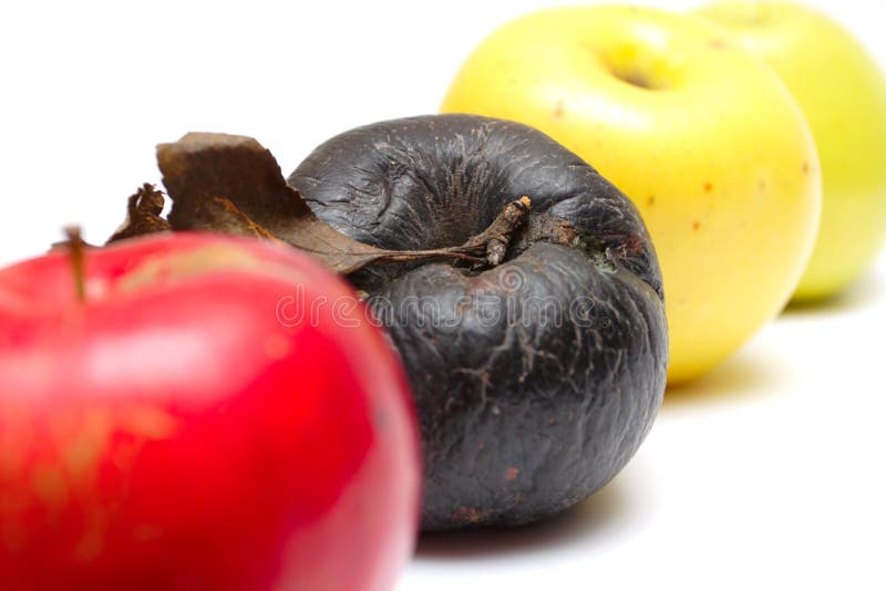 A Rotten and a Fresh Red Apple Next To Each Other. Good Vs Bad ...