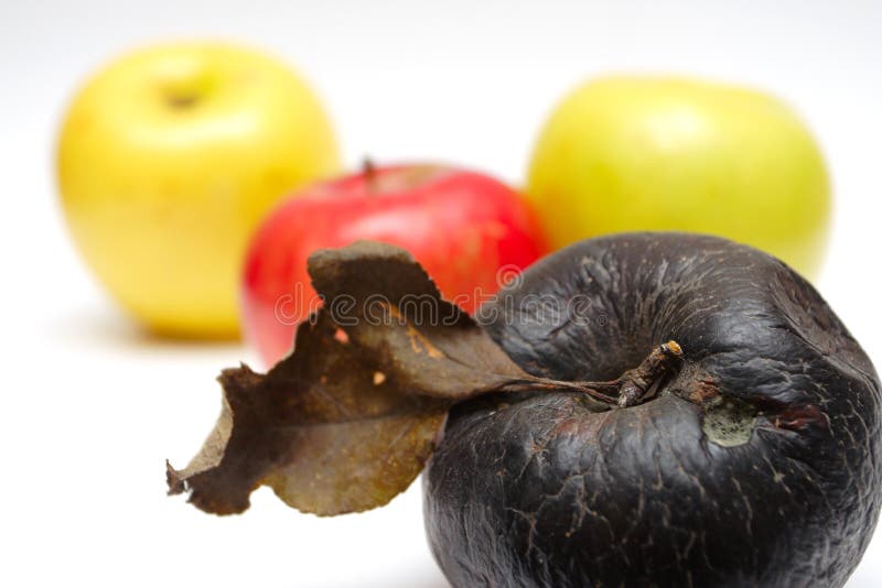 Rotten Apple at the Row of Fresh Apples Stock Photo - Image of ...