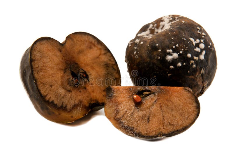 Rotten Apple and Slices on a White Background. Spoiled Apple Isolate ...