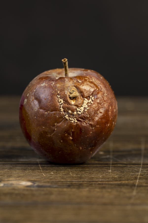 Rotten Apple on the Table, a Spoiled Apple Covered with Mold Stock ...