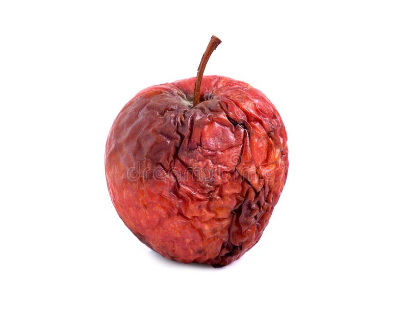 Rotten Apple On White Background Stock Image - Image of fruit, close ...