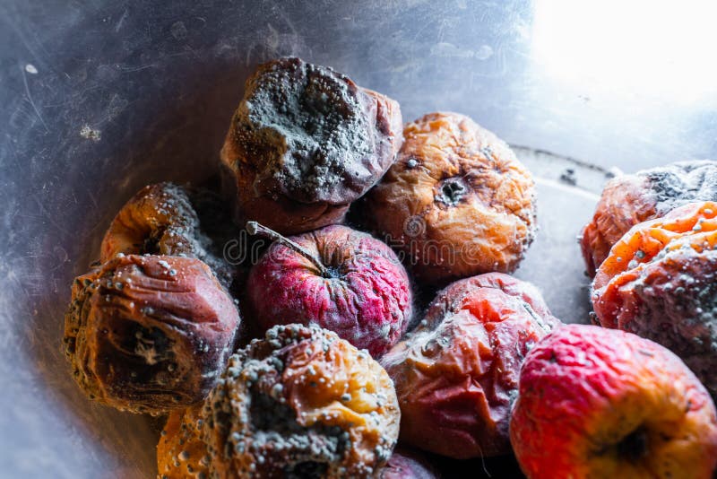 Rotten Apples of Different Colors Close-up Stock Image - Image of ...