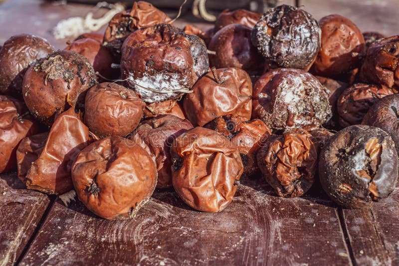 Rotten Apples on the Table in the Garden Stock Image - Image of green ...