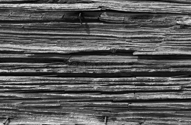 Rotten wood background stock photo. Image of horizontal - 23419248