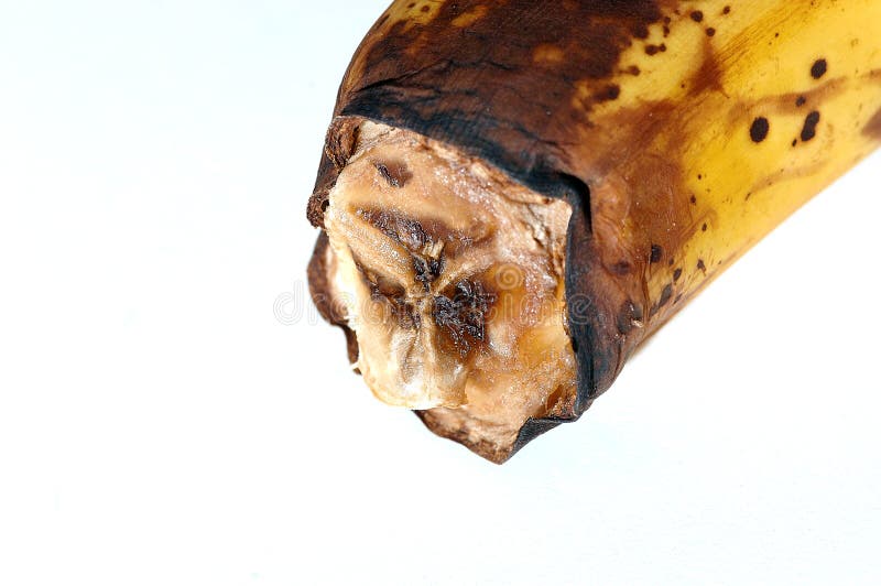 Rotten Banana Stock Images - Image: 420214 Rotten Banana Stock Images - Image: 420214