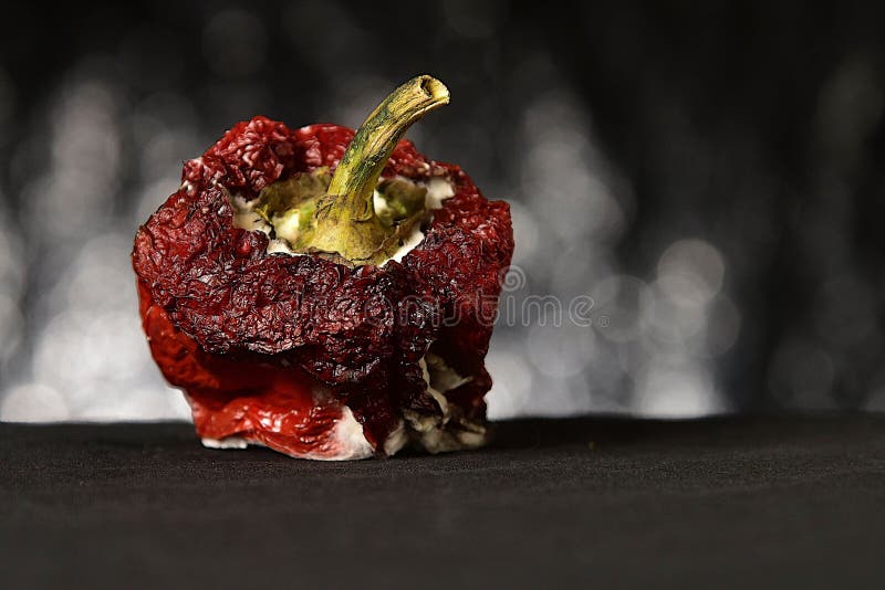 Moldy Red Bell Pepper Isolated on White Stock Image - Image of food ...