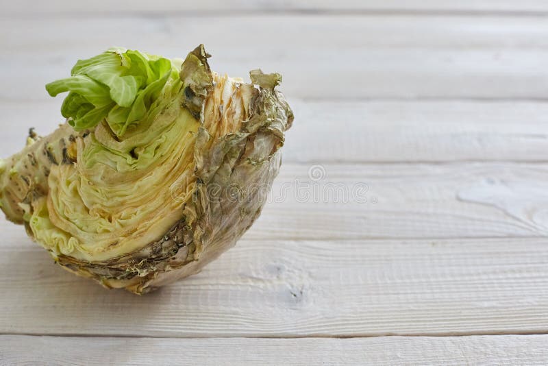 371 Rotten Cabbage Stock Photos - Free & Royalty-Free Stock Photos from ...