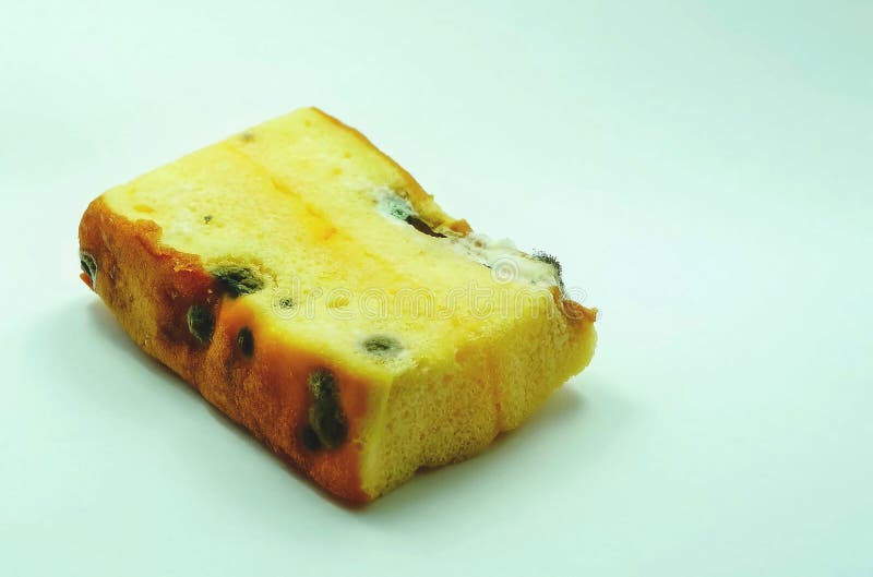 306 Rotten Cake Stock Photos - Free & Royalty-Free Stock Photos from ...