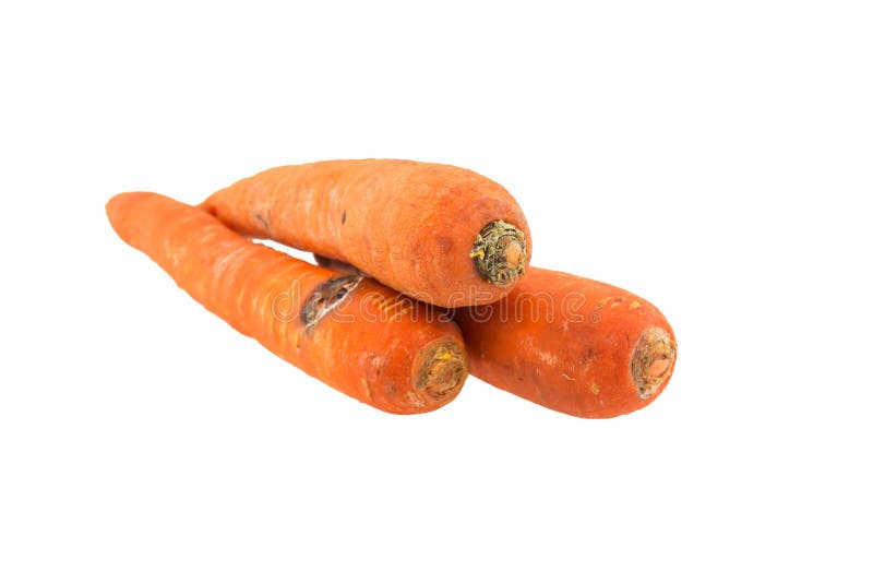 Rotten carrot isolated stock photo. Image of aging, autumn - 88180550