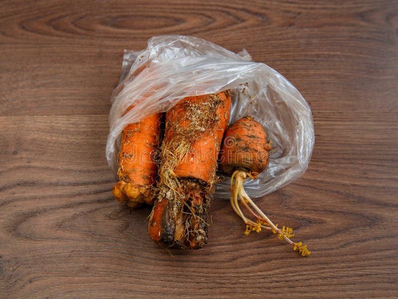 Rotten Carrots. Spoiled Moldy Vegetable Waste. Wasted Sweaty Mouldy ...