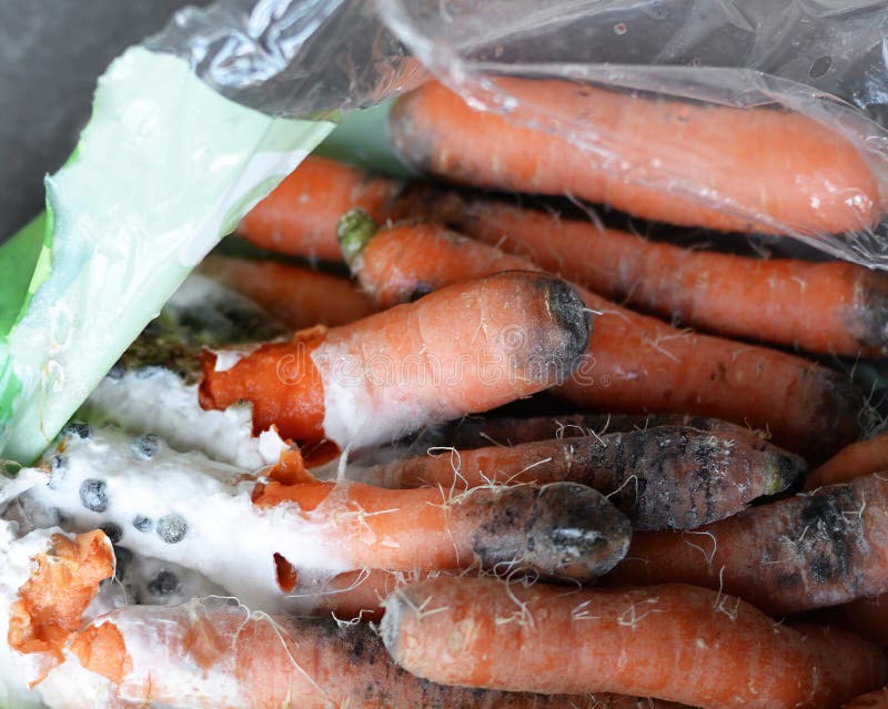Rotten Carrots in Plastic Wrapping Stock Image - Image of greens ...