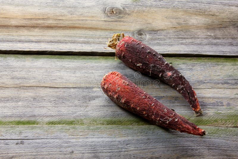 Rotten Carrots. Spoiled Moldy Vegetable Waste. Wasted Sweaty Mouldy ...