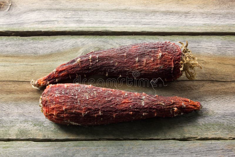 Rotten Carrots on the Landfill Stock Image - Image of mouldy, mold ...