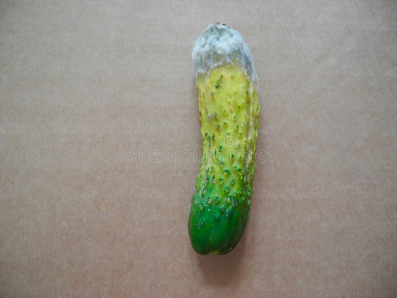 376 Rotten Cucumber Stock Photos - Free & Royalty-Free Stock Photos ...